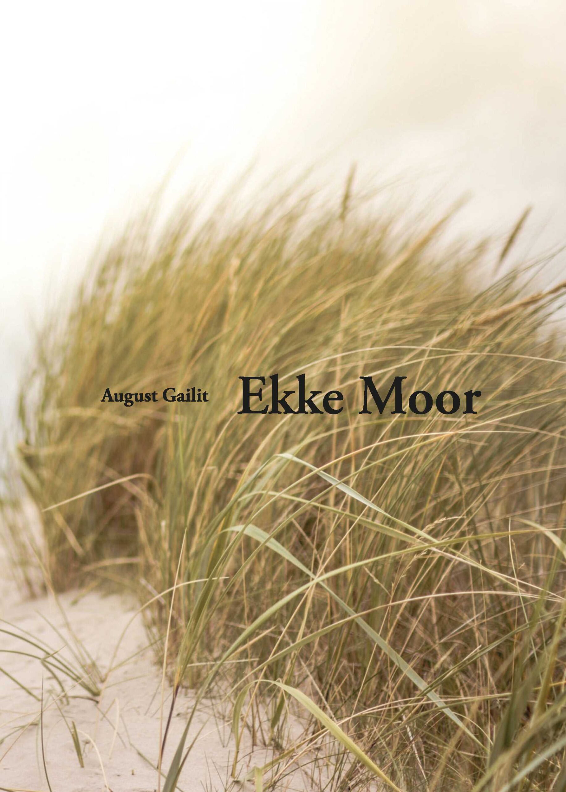 Ekke Moor – Kirjastus Hea Lugu